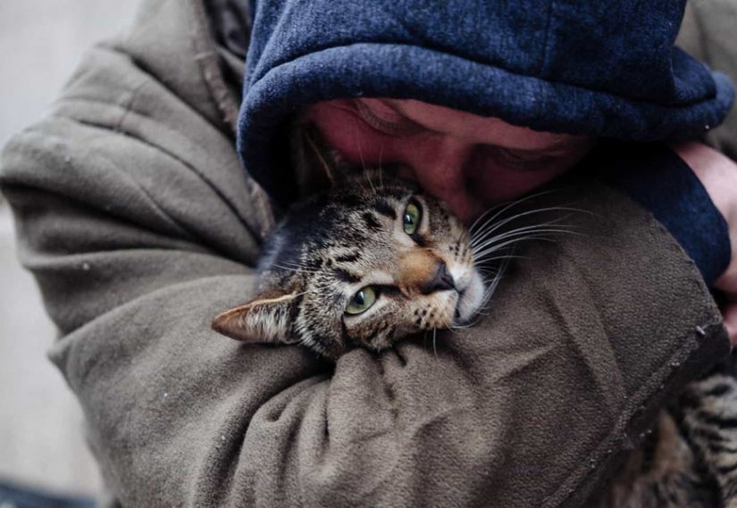 'Cat Daddies' Documentary A Celebration Of Cats And The Men Who Love ...