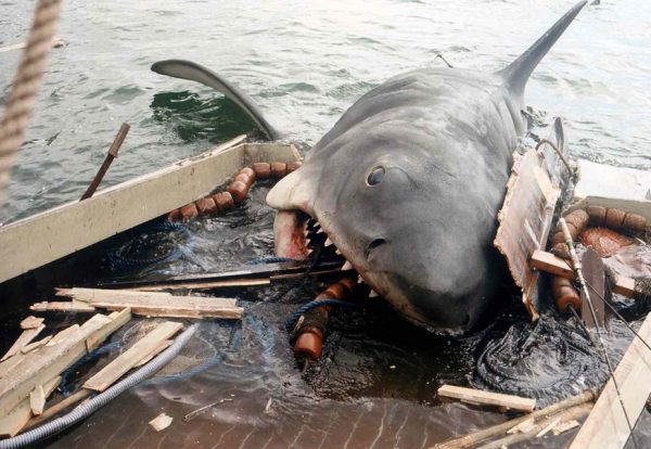 Jaws At 50: Why It's Still the Ultimate Summer Movie - AmongMen